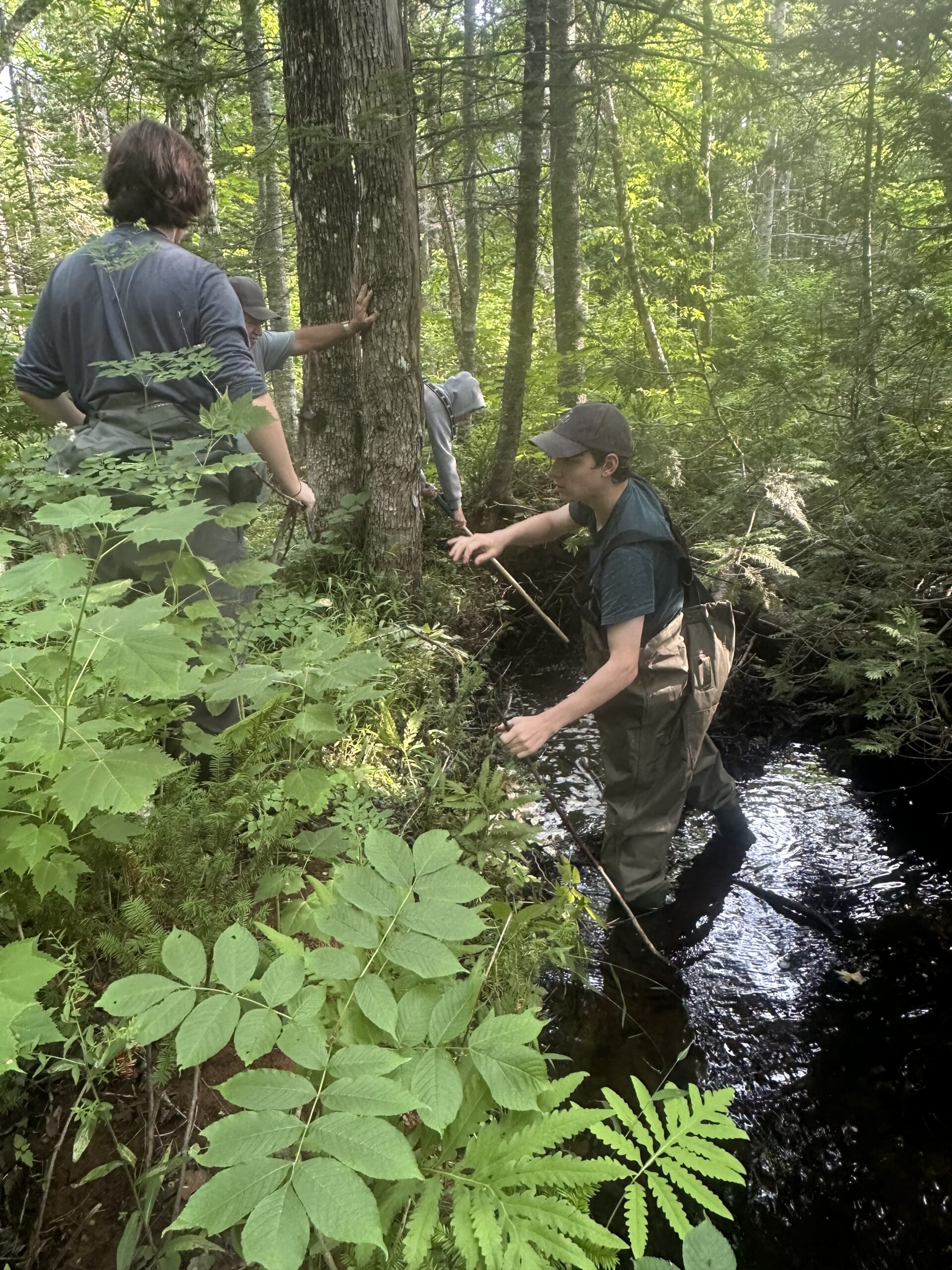 Lot 11 Watershed Management Group Incorporated | Prince Edward Island ...